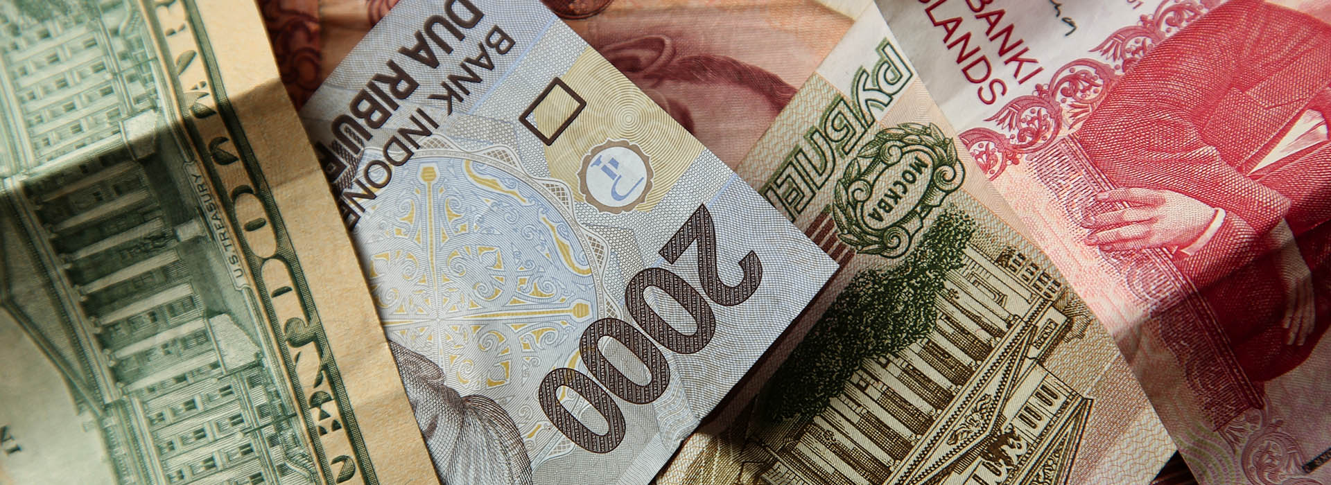 Travel Wallet/Foreign Currency - MJF Travels